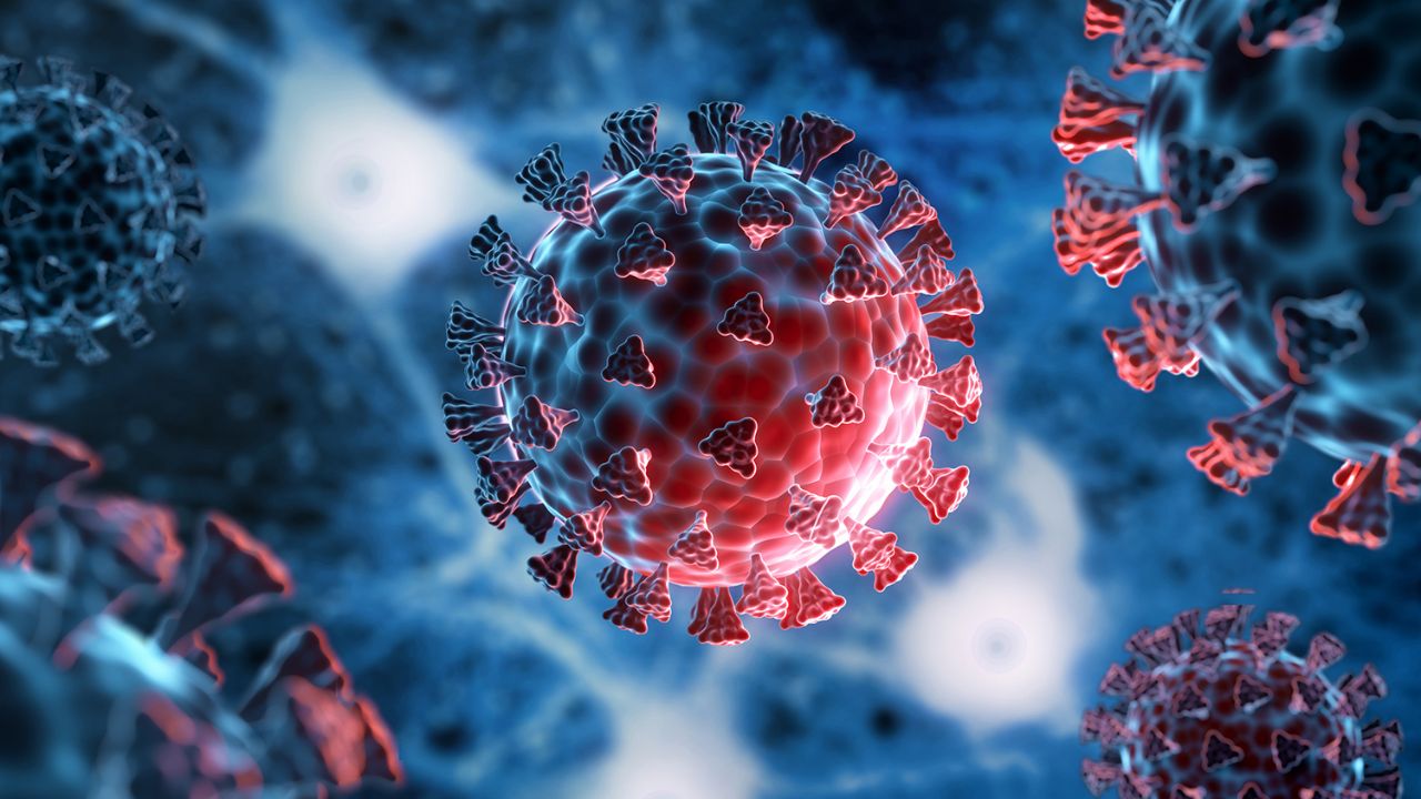 Autoridades confirman que la variante 'Frankenstein' del Covid-19 ya ...